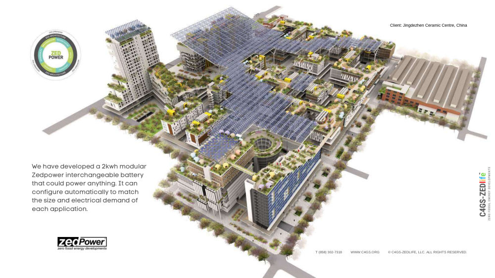 Welcome to C4GS-ZEDlife