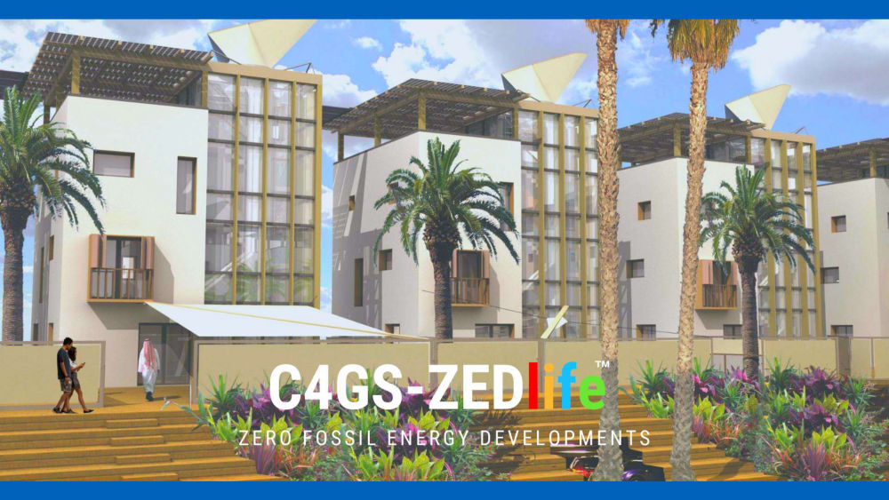 Welcome to C4GS-ZEDlife